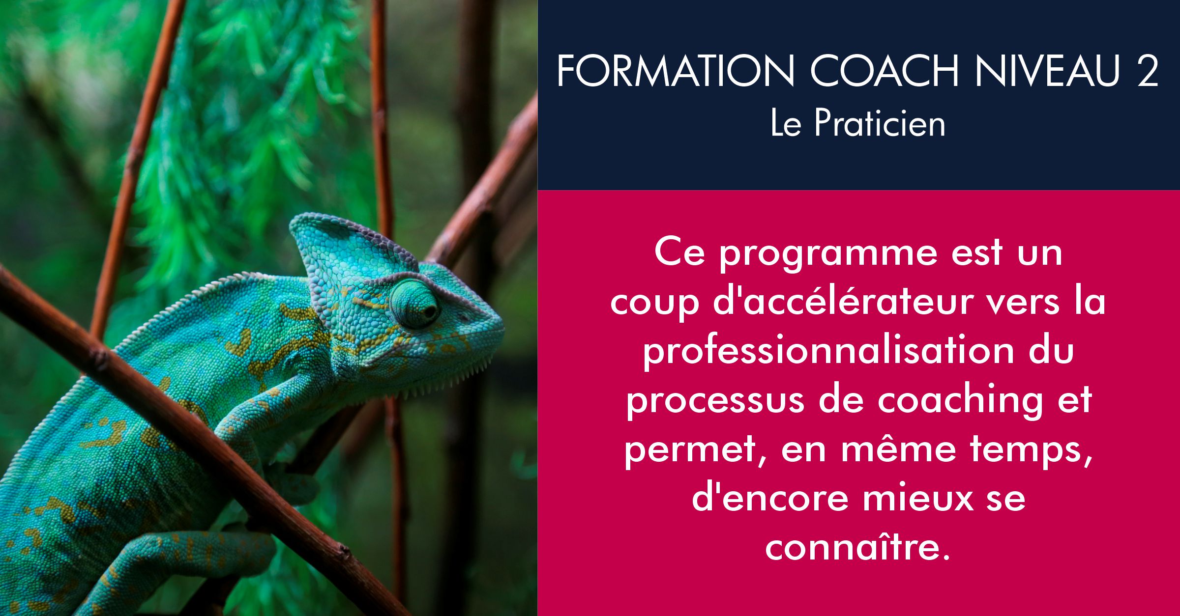 Formation Coach Niveau 2 : Le Praticien - Développez votre pratique ...