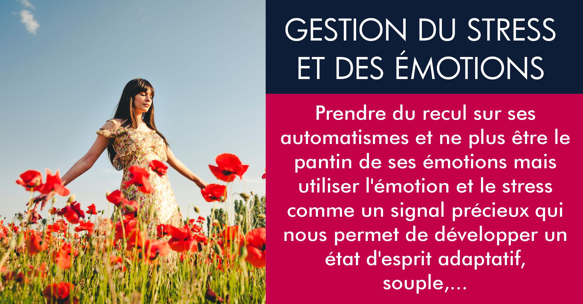 Gestion du Stress et des Emotions